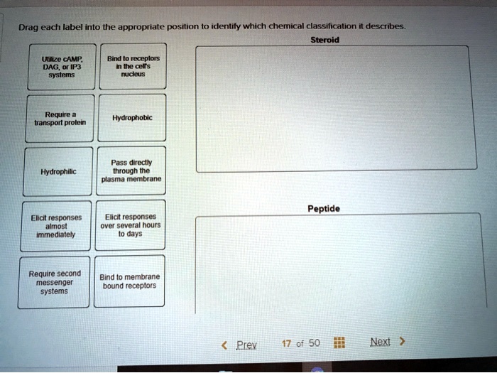Solved Text Drag Each Label Into The Appropriate Position To Identify Which Chemical
