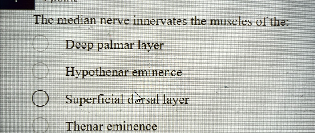 The median nerve innervates the muscles of the: Deep palmar layer ...