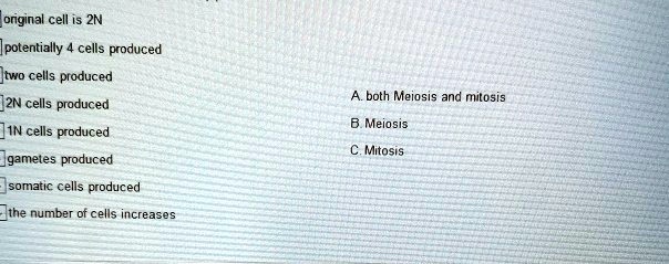 SOLVED: original cell is 2N Ipotentially - cells produced Jtwo cells ...
