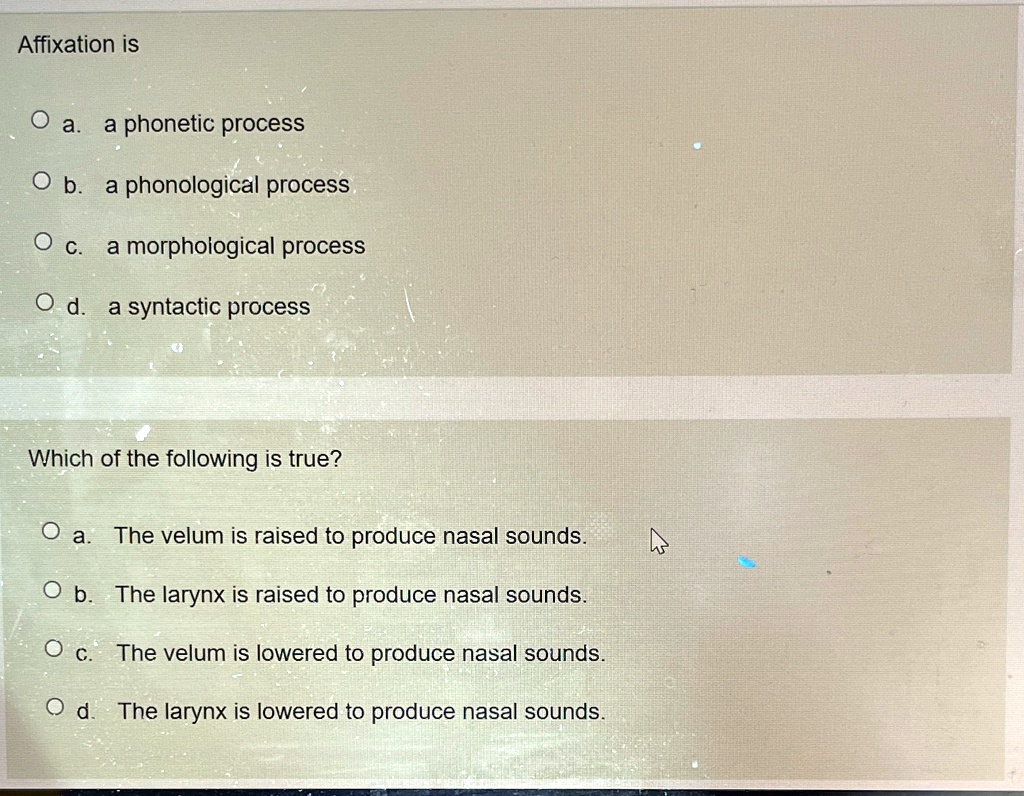 affixation is phonetic process b a phonological process morphological ...