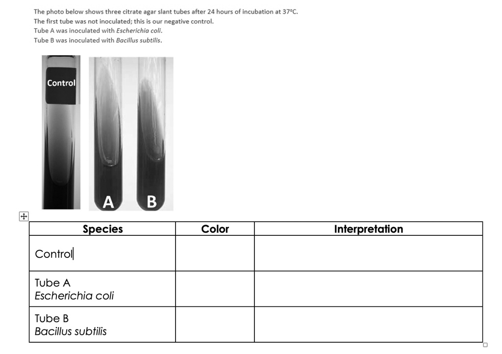 the photo below shows three citrate agar slant tubes after 24 hours of ...