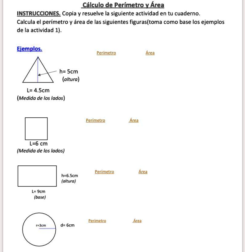ayuda por favor calculo de perimetro y area instrucciones copia y ...
