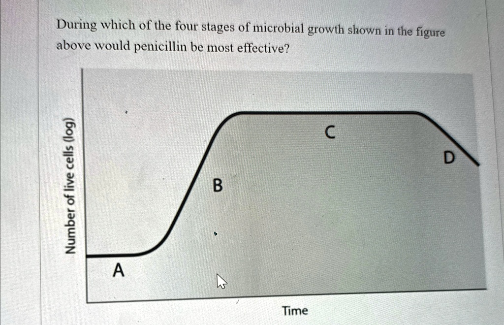 During which of the four stages of microbial growth shown in the figure ...