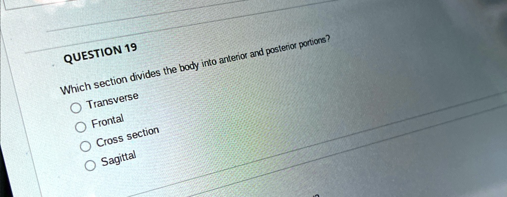 question 19 which section divides the body into anterior and posterior ...