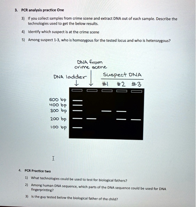 3. PCR analysis practice One 3) If you collect samples from crime scene ...