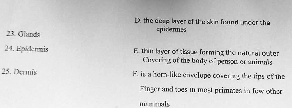 Matching type: Match the parts of the integumentary system in column A ...