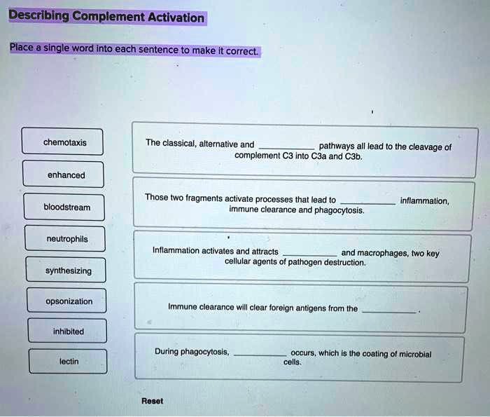 describing complement activation place single word into each sentence to make it correct ...