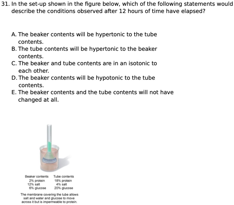 SOLVED: 31. In the set-up shown in the figure below, which of the ...