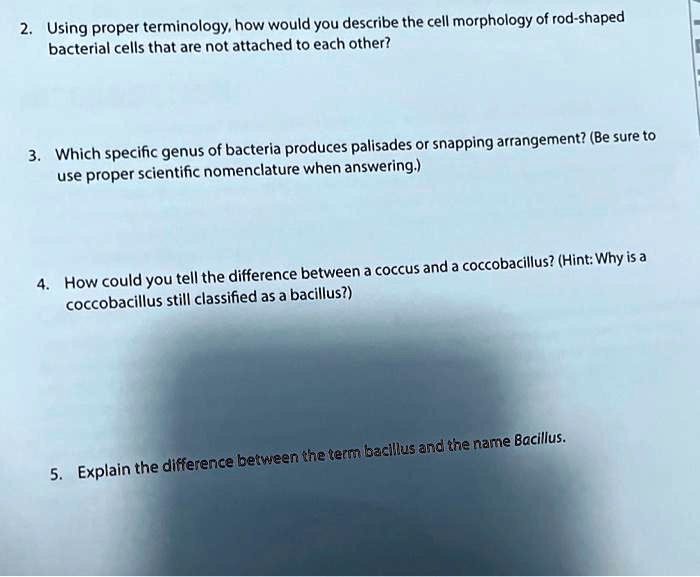 SOLVED: Using proper terminology, how would you describe the cell ...