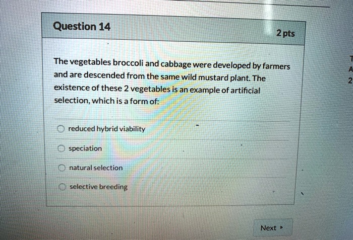 SOLVED: Question 14 2 pts The vegetables broccoli and cabbage were ...