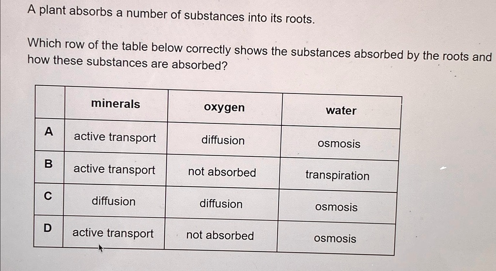A plant absorbs a number of substances into its roots. Which...