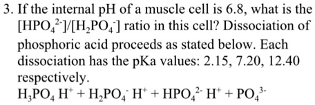 3 if the internal ph of a muscle cell is 68 what is the hpo4 vhpo4 ...