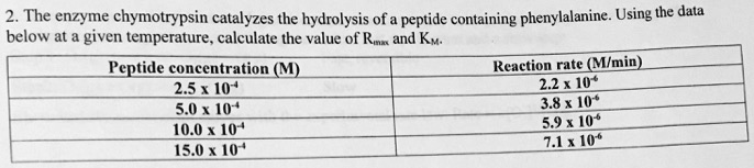 2. The enzyme chymotrypsin catalyzes the hydrolysis of a peptide ...