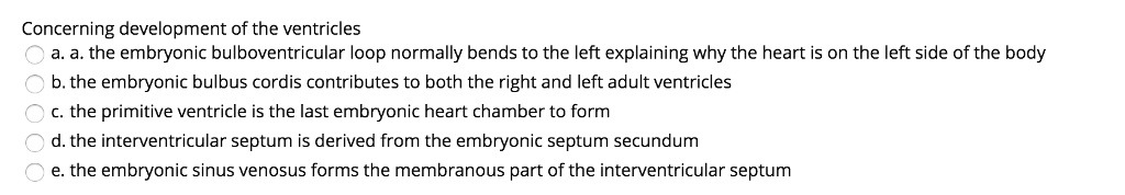 Concerning development of the ventricles a. a. the embryonic ...