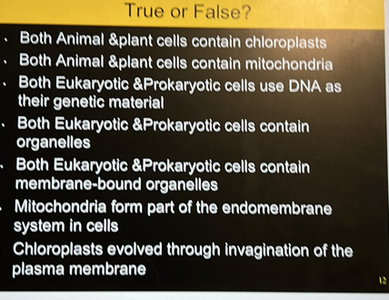 True or False? Both Animal &plant cells contain chloroplasts Both ...