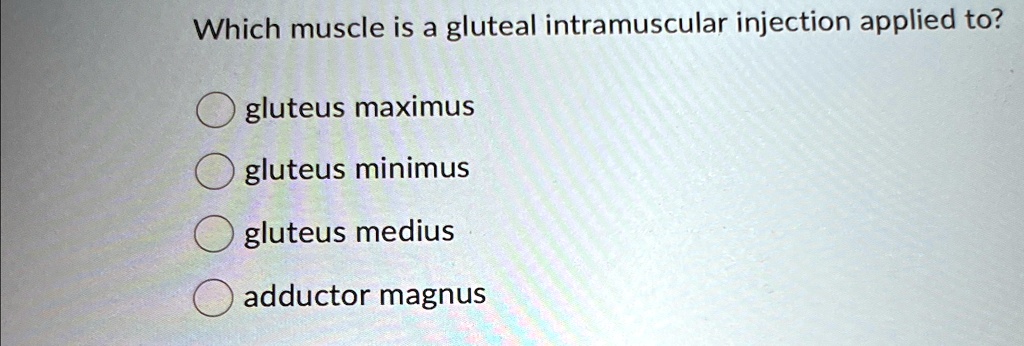 Which muscle is a gluteal intramuscular injection applied to? gluteus ...
