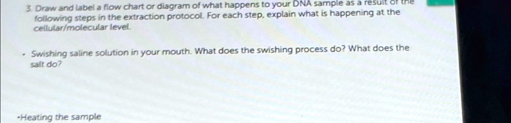 [GET ANSWER] draw and label a flow chart or diagram of what happens to ...
