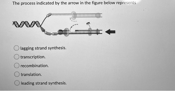The process indicated by the arrow in the figure below represents ...