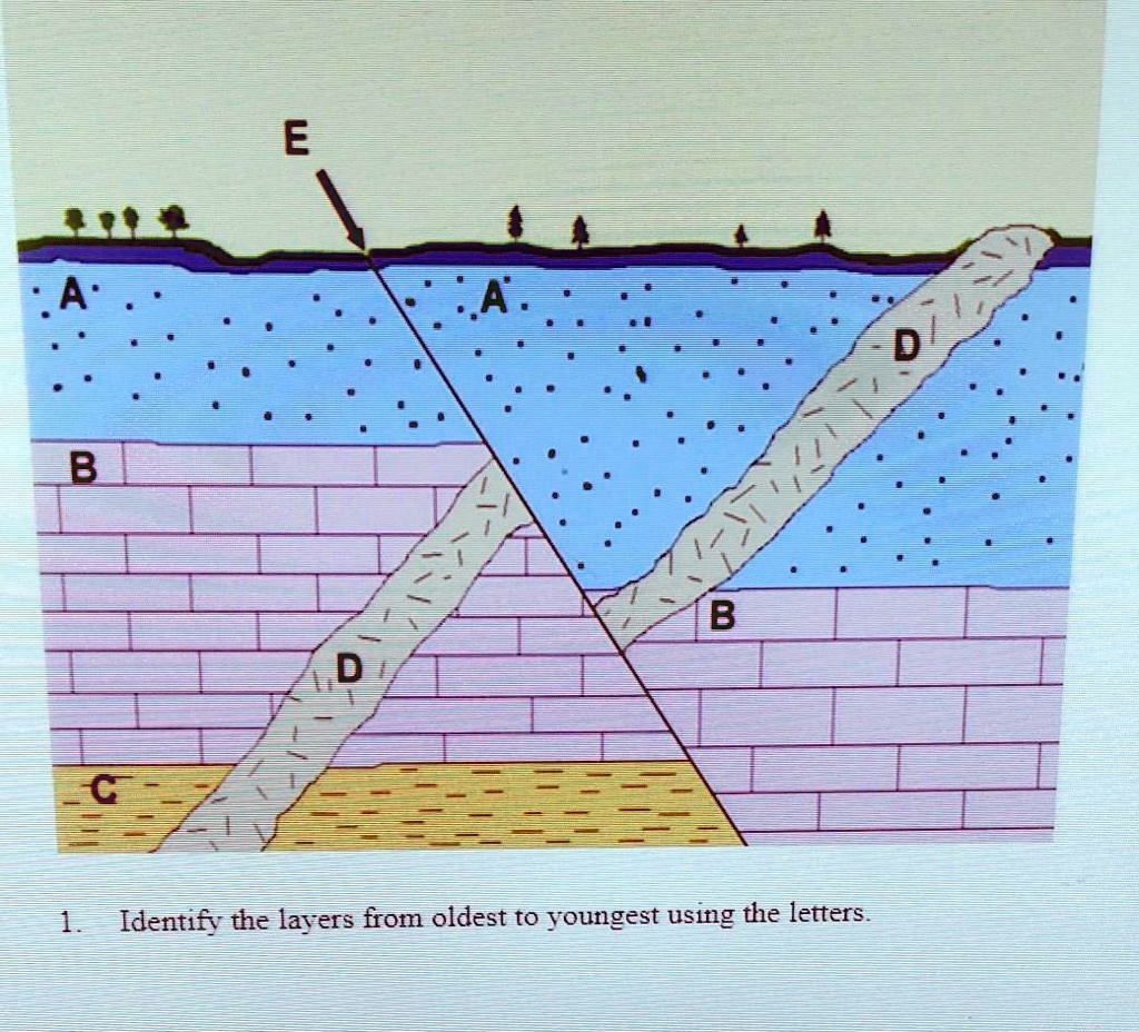 SOLVED: Identify the layers from oldest to youngest using those letters ...