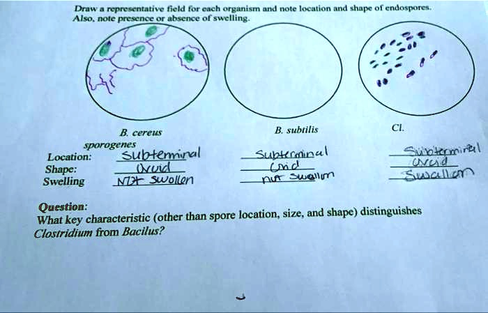 [GET ANSWER] Draw a representative field for each organism and note ...