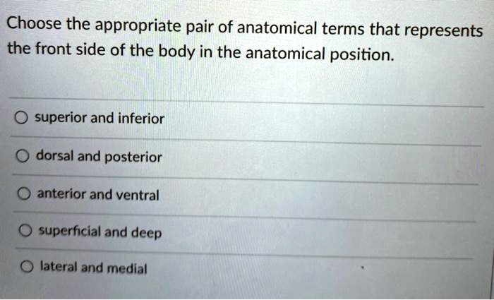 SOLVED: Choose the appropriate pair of anatomical terms that represents ...