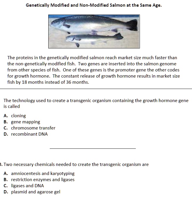 SOLVED: Genetically Modified and Non-Modified Salmon at the Same Age ...