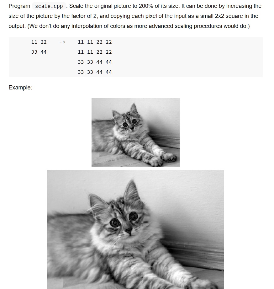 Solved In C Program Scale Cpp Scale The Original Picture To 20 Of Its Size It Can Be Done