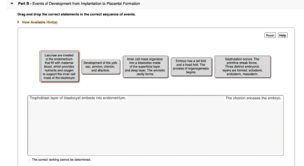 SOLVED: Part B - Events of Development from Implantation to Placental ...