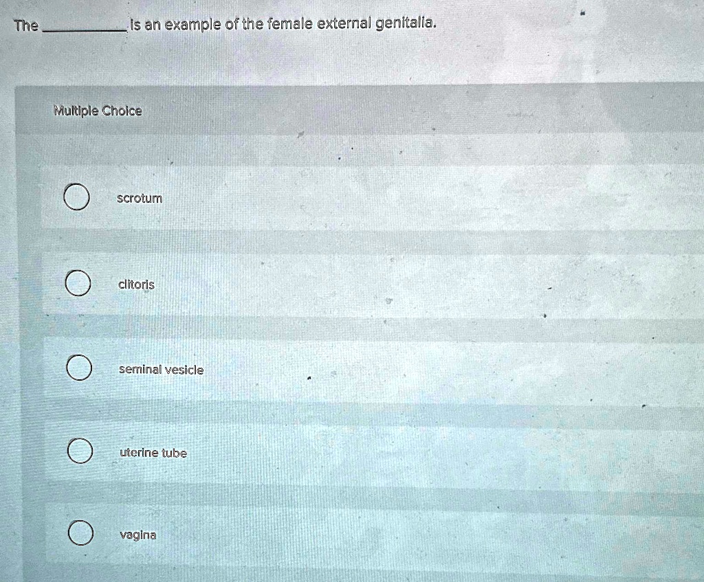 SOLVED: The is an example of the female external genitalia. Multiple ...