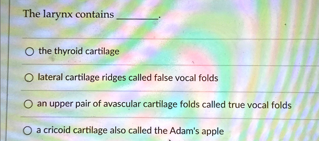 The larynx contains the thyroid cartilage lateral cartilage ridges ...