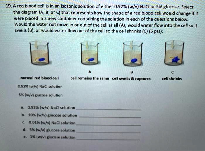 19a red blood cell is in an isotonic solution of either 092 wlv nacl or ...