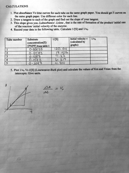 CALCULATIONS 1. Plot absorbance Vs time curves for each tube on the ...