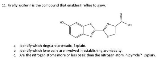 11 firefly luciferin is the compound that enables fircflies to glow ...