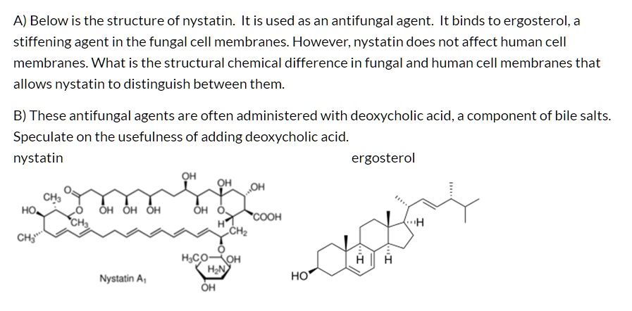 a below is the structure ofnystatin it is used as an antifungal agent ...