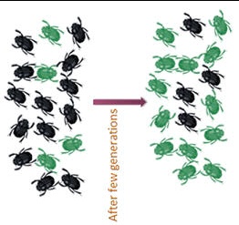 SOLVED: Which is the most likely explanation for the change? A. The ...