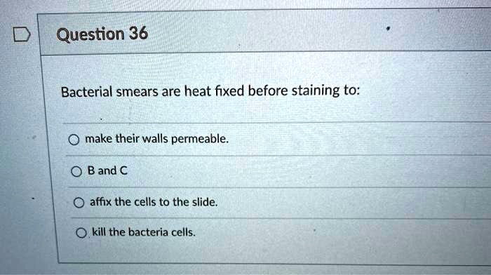 SOLVED: Question 36 Bacterial smears are heat fixed before staining to ...