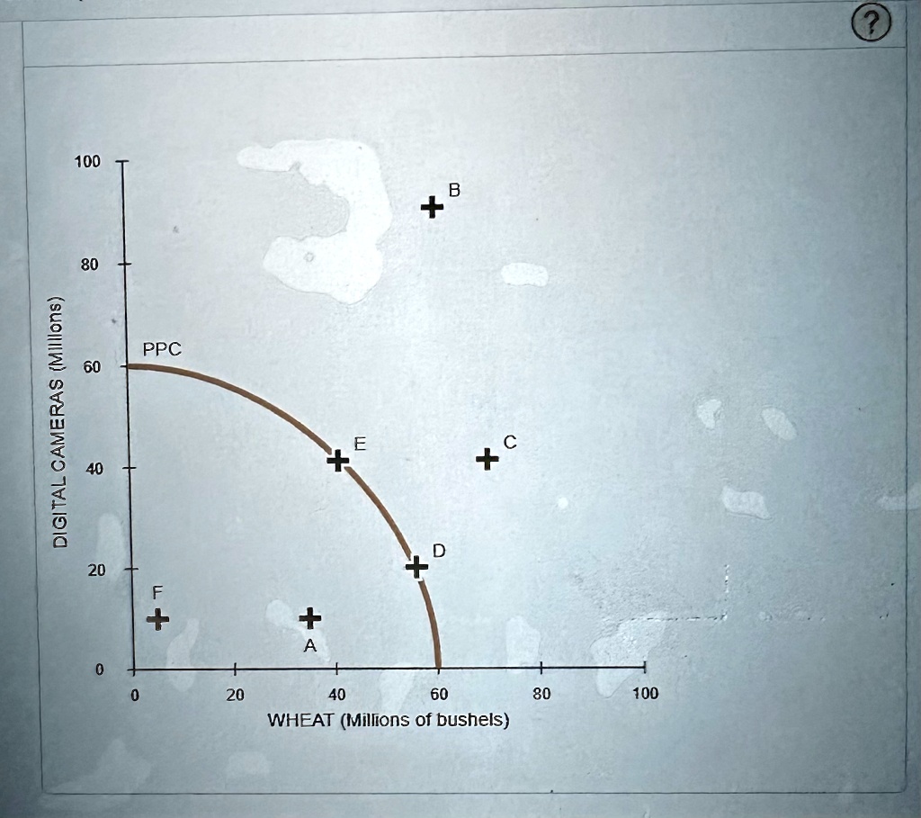 SOLVED: Suppose South Africa produces only two goods: wheat and digital cameras. The following ...