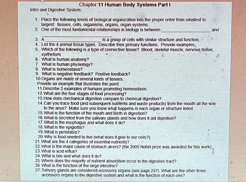 chapter 11 human body systems part intro and digestive system place the ...