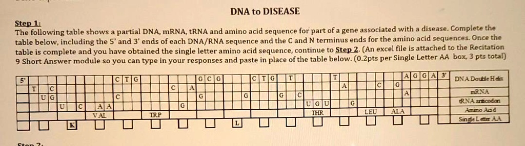 SOLVED: Text: DNA to DISEASE Step 1: The following table shows partial DNA, mRNA, tRNA, and ...