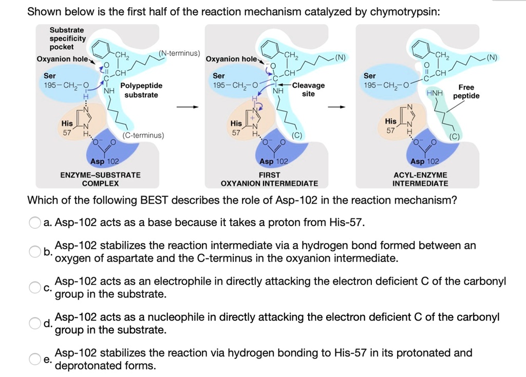 SOLVED:Shown below is the first half of the reaction mechanism ...