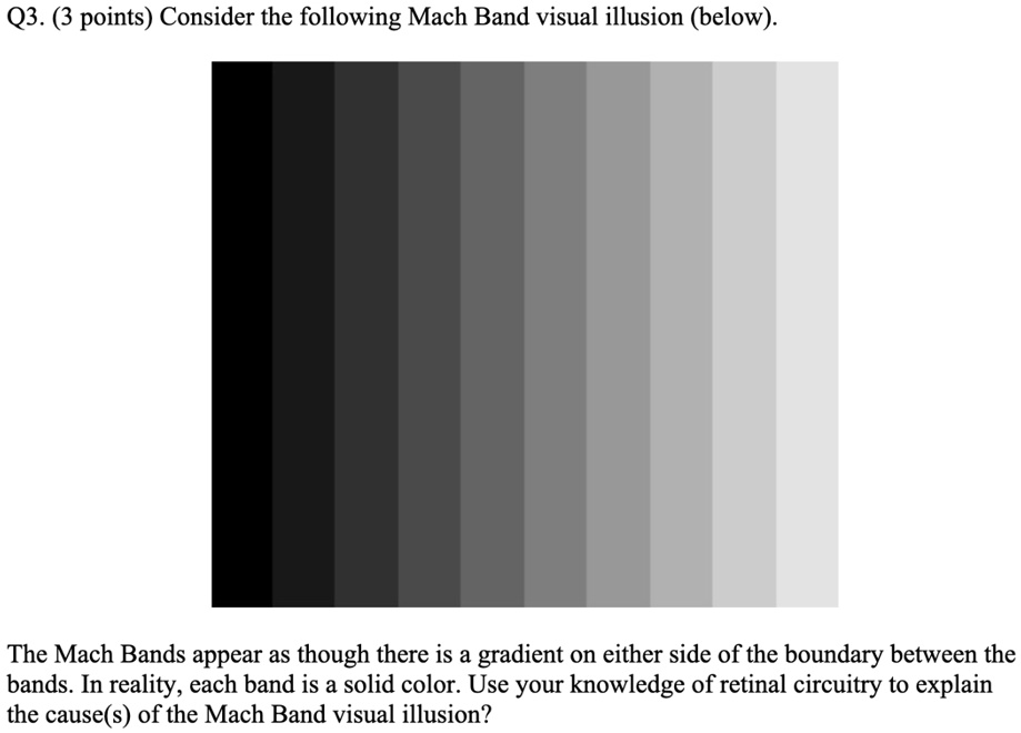 Q3. (3 points) Consider the following Mach Band visual illusion (below). The Mach Bands appear ...
