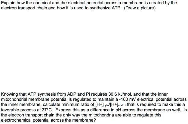 SOLVED:Explain how the chemical and the electrical potential across ...