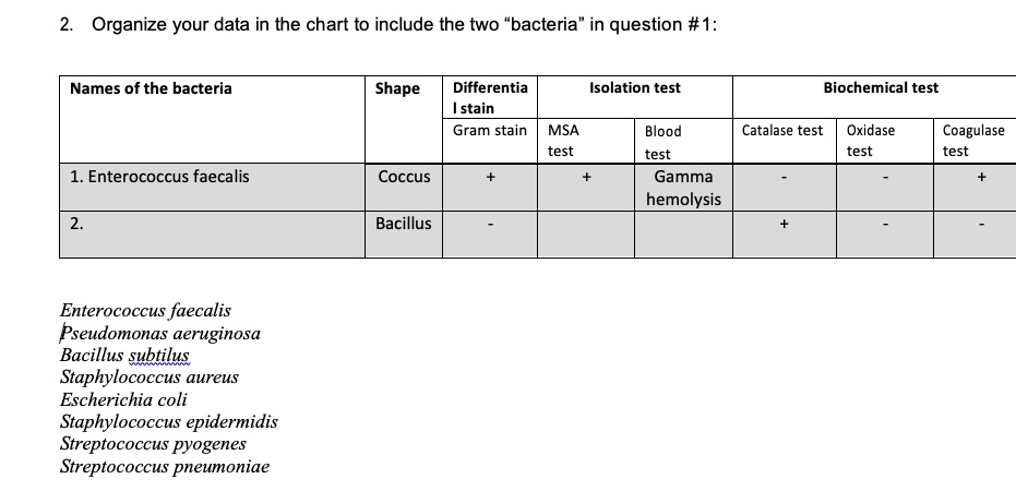 SOLVED: Organize your data in the chart to include the two "bacteria in ...