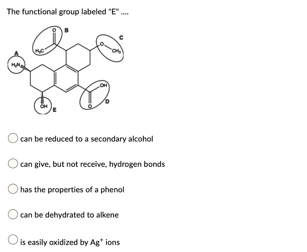 The functional group labeled "E" ... H3C H2N B C CH3 OH D OH E can be ...