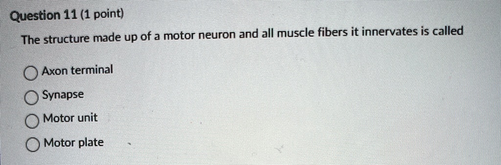 question 11 1 point the structure made up of a motor neuron and all ...