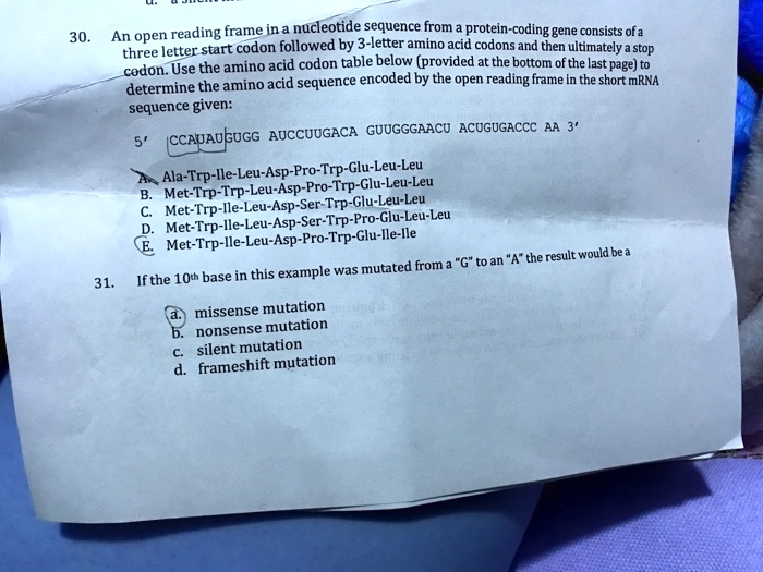 SOLVED:An open reading frame in a nucleotide sequence from 30. protein ...