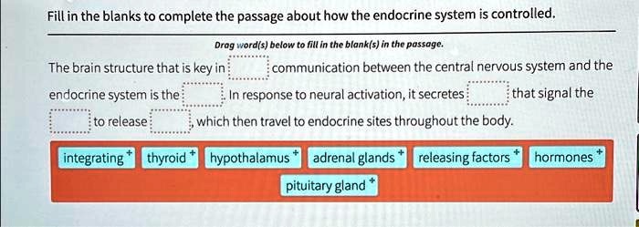 SOLVED: Fill in the blanks to complete the passage about how the ...