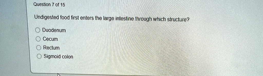 Question 7 of 15 Undigested food first enters the large intestine ...