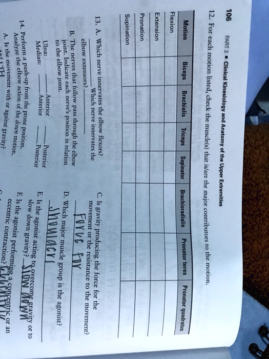 SOLVED: Supination, Pronation, Extension, Flexion Motion 106 Median ...