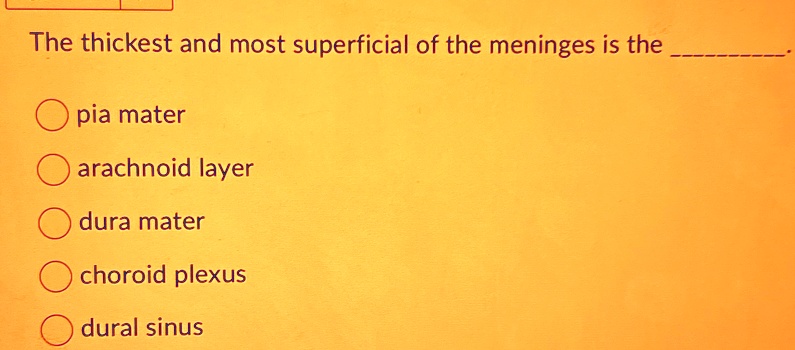 the thickest and most superficial of the meninges is the pia mater ...
